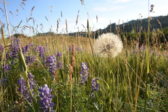 Home - Welcome Grace